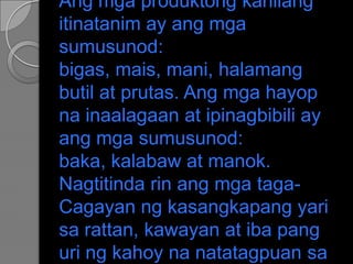 Ang rehiyon 2 lambak ng cagayan 2011 | PPT