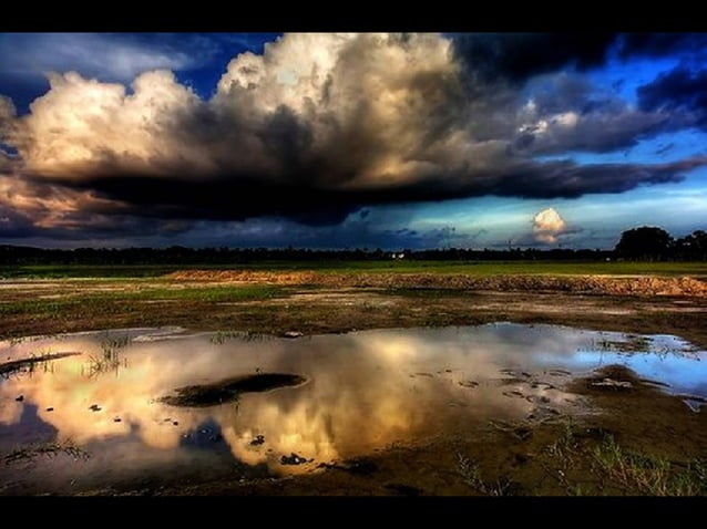 Angry Nature** | PPS | Audio Production | Content Production