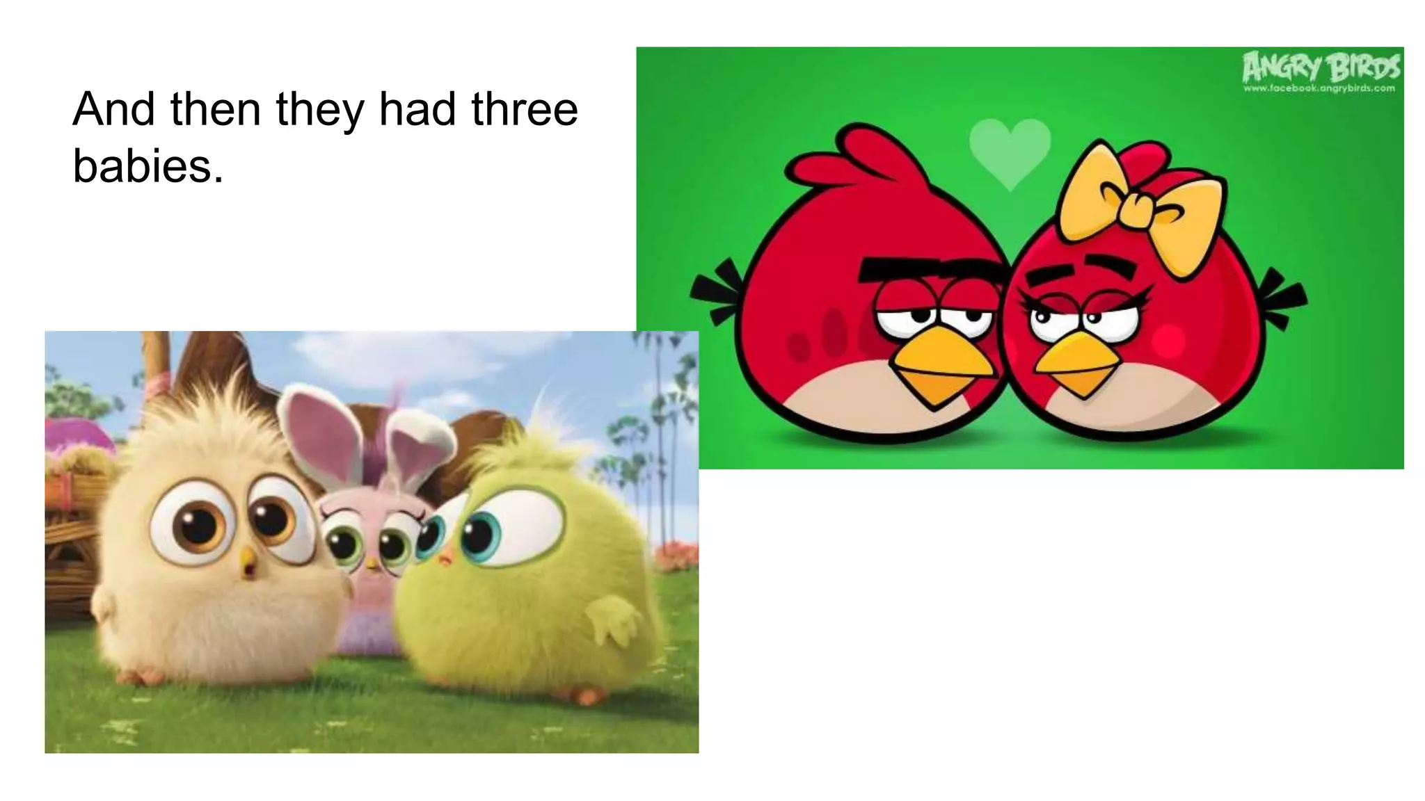 Angry birds | PPTX