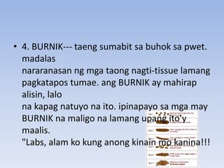 Ang salitang bal bal | PPTX