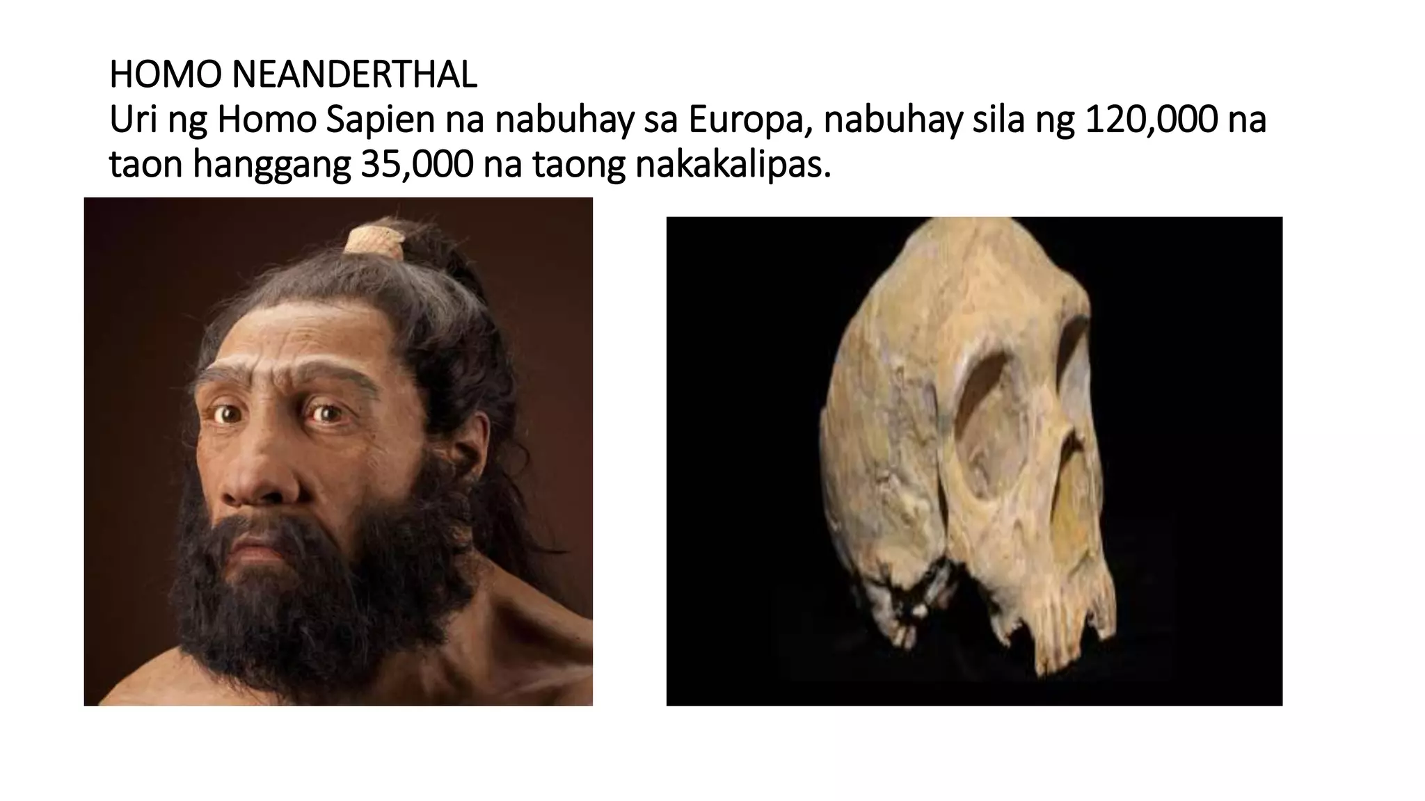 Ang sinaunang tao noong panahong prehistoriko | PPTX