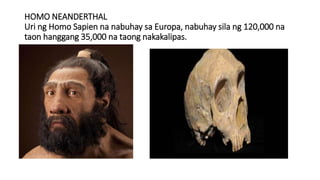 Ang sinaunang tao noong panahong prehistoriko | PPTX