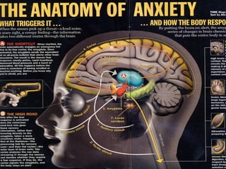 Angst anxiety feelings understanding.ppt