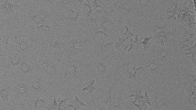 Building a GPU-enabled OpenStack Cloud for HPC - Lance Wilson, Monash University | PPT