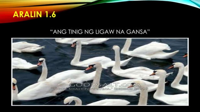 Ang Tinig ng Ligaw na Gansa | PPTX