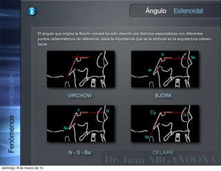 Angulación Base Craneal | PDF