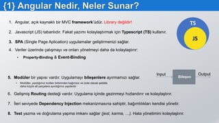 Angular Framework (Tanıtım Sunumu) - 2024 | PPT