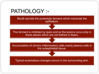 Angular conjunctivitis | PPTX