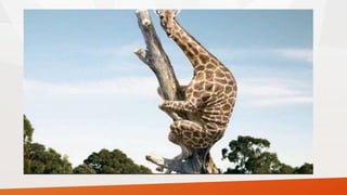 Valentine with Angular js - Introduction | PPT