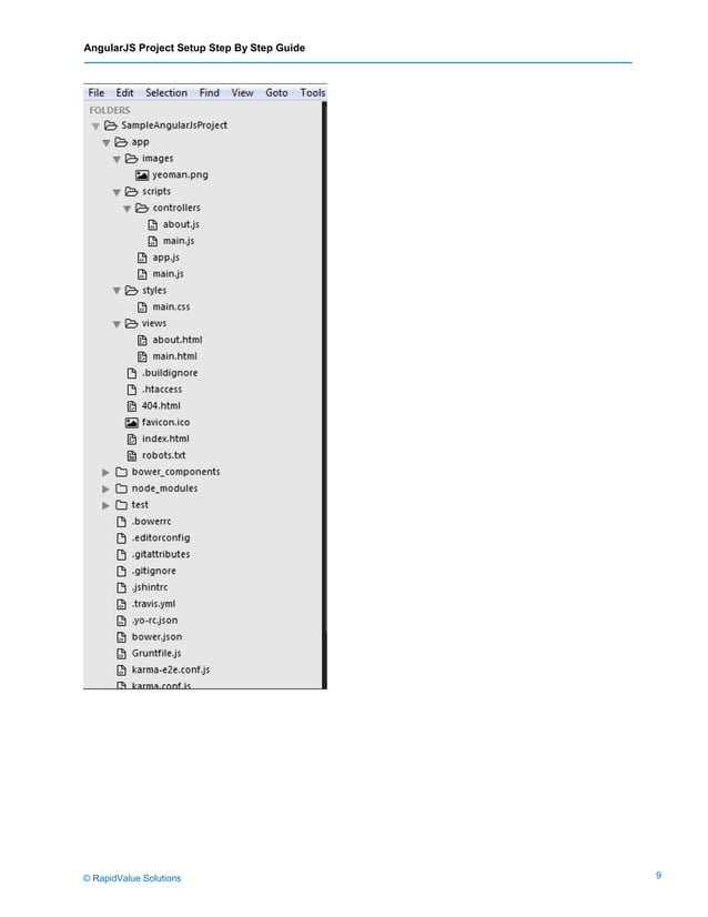 Angularjs Project Setup Step By Step Guide Rapidvalue Solutions Pdf