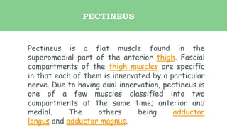 Angular kinematics | PPT