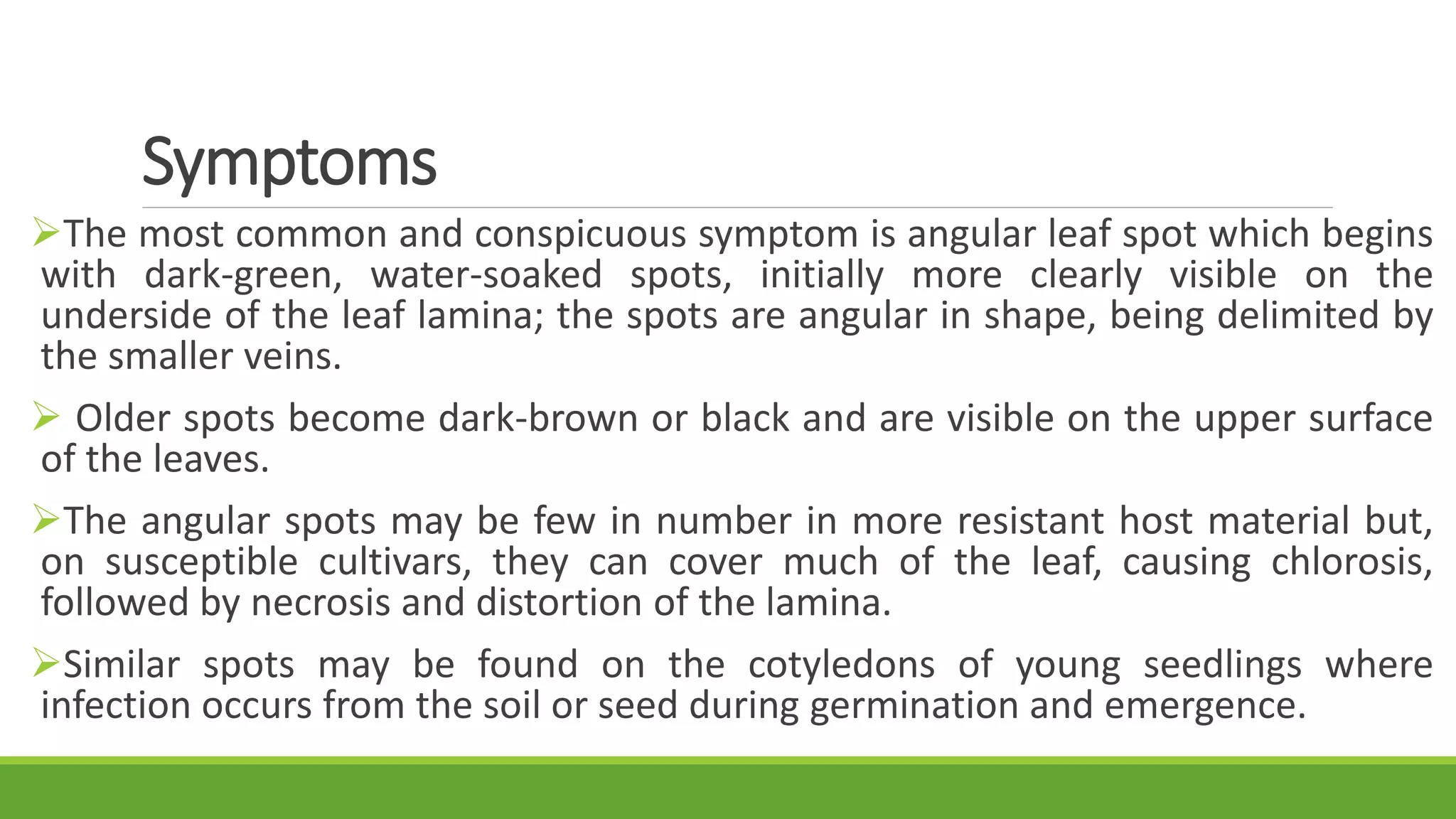 Angular leaf spot of cotton | PPTX