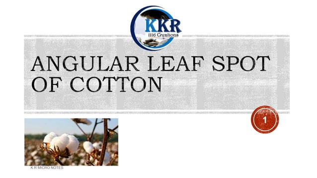 ANGULAR LEAF SPOT OF COTTON K R.pptx