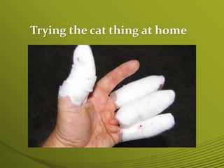 Angular Unit Test | PPTX