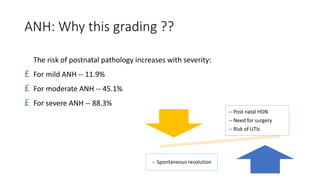 Antenatalhydronephrosis 2022may (1).pptx