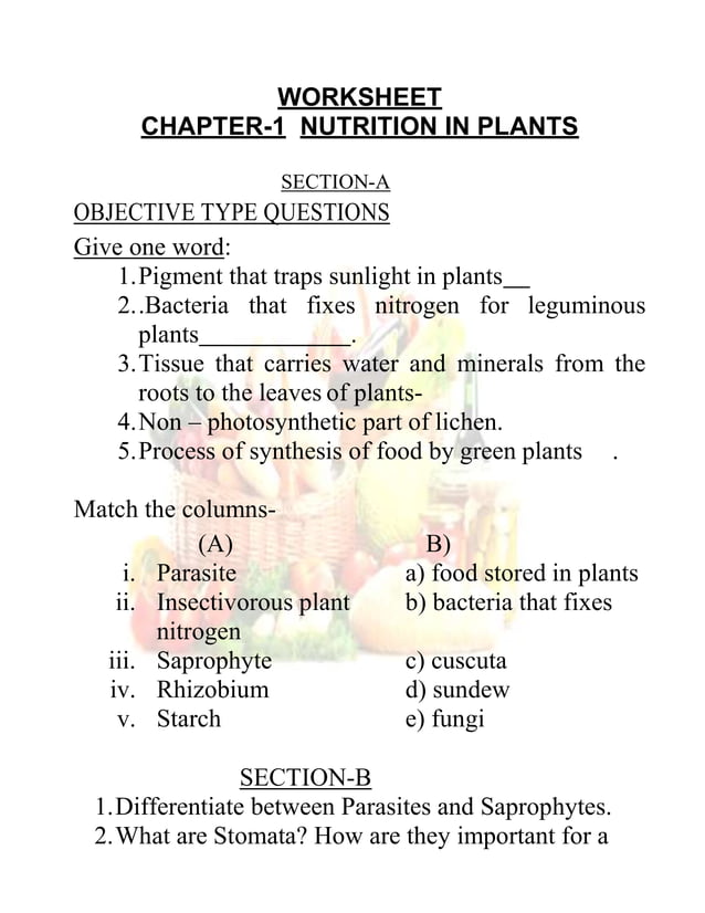 NUTRITION IN PLANTS | PDF