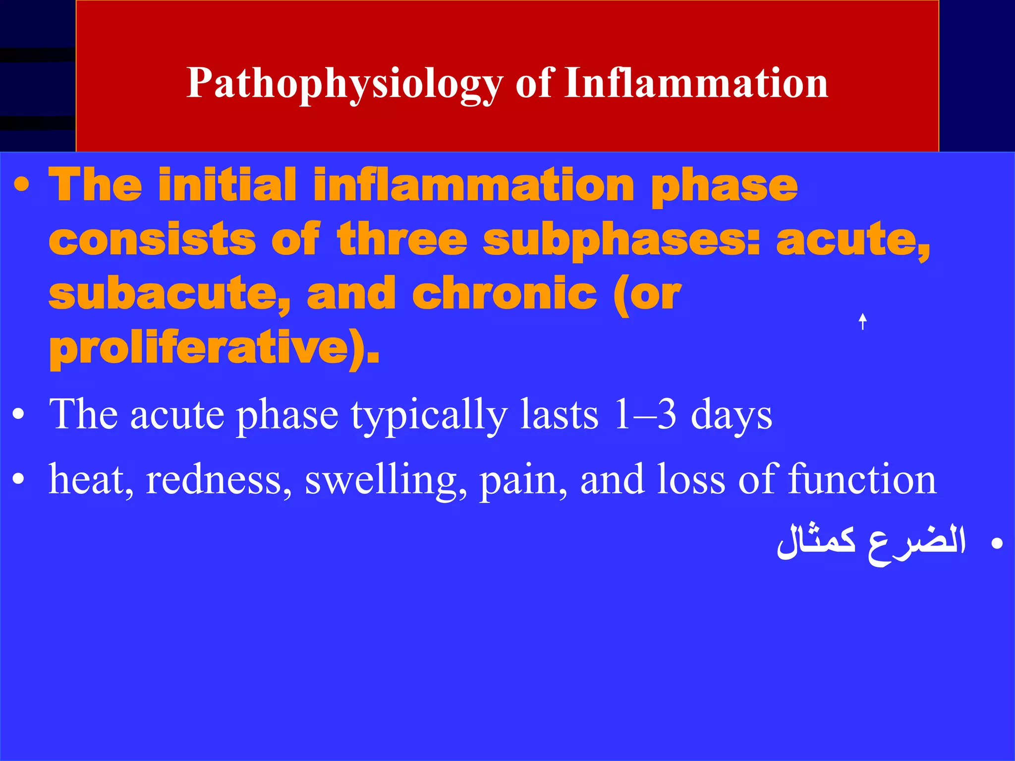 Advantage and Disadvantages of Anti-Inflammatory Drugs In Farm & pet ...