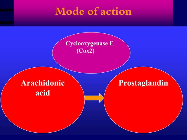 Advantage and Disadvantages of Anti-Inflammatory Drugs In Farm & pet ...