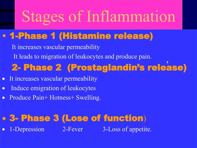 Advantage and Disadvantages of Anti-Inflammatory Drugs In Farm & pet ...