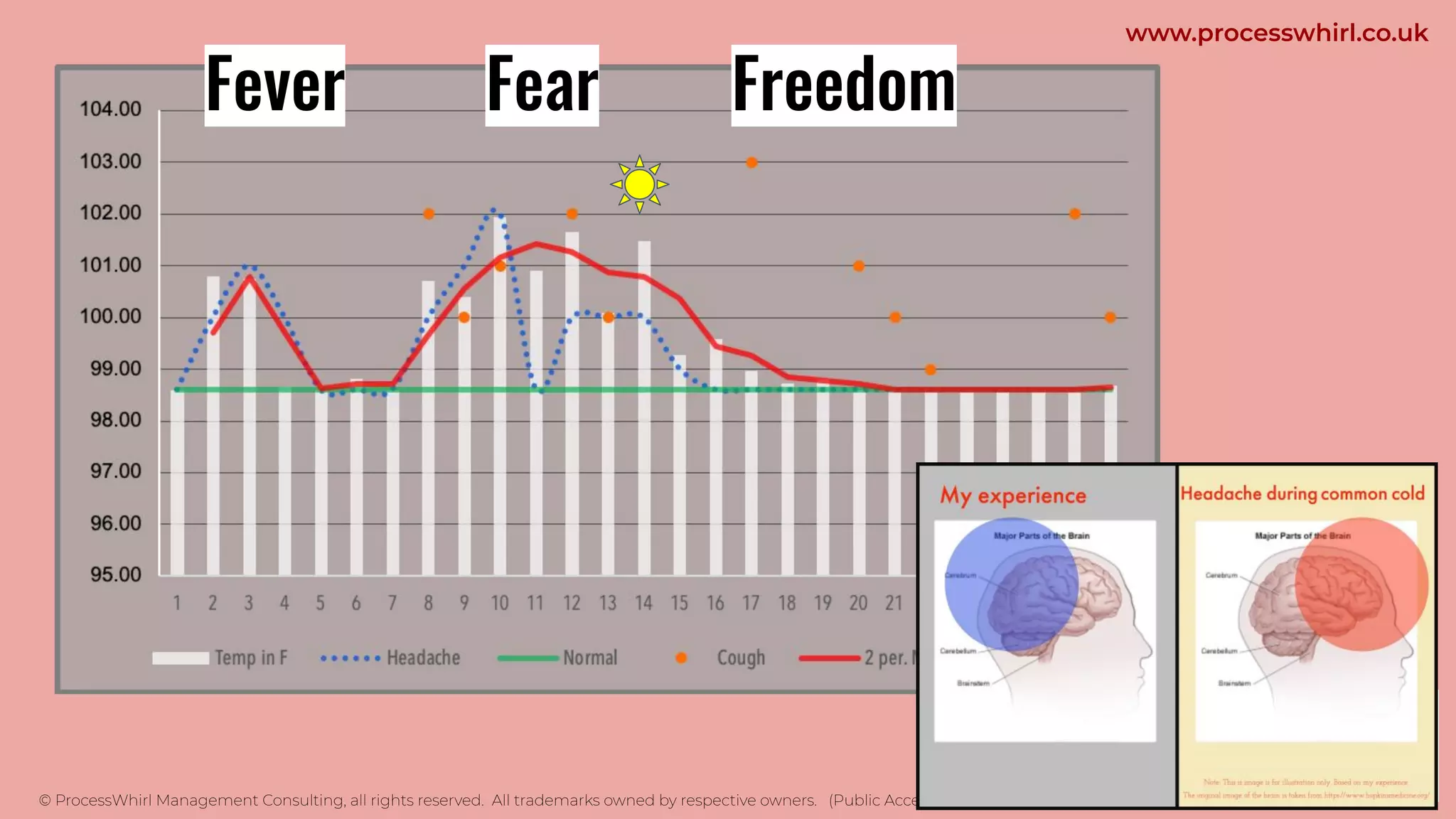 Ani psychological safety - fever- fear - freedom | PDF