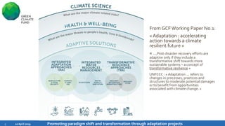 4.4b Adaptation projects and NAPs | PPT