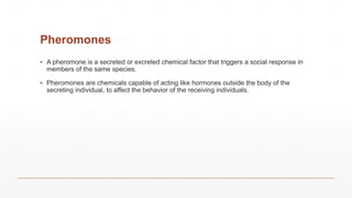 pheromones | PPT