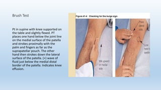 Orthopedic test for the Knee | PPTX
