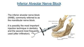 Inferior Alveolar Nerve Block Anesthetic Technique | PPTX