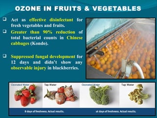 Application of ozone in food processing | PPT