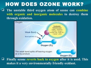 Application of ozone in food processing | PPT