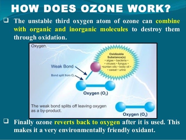 Application of ozone in food processing