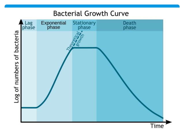 Growth curve.pptx