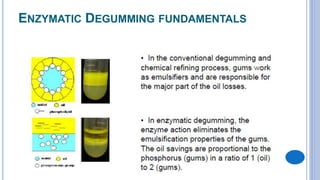 Aniket enzymatic degumming | PPTX