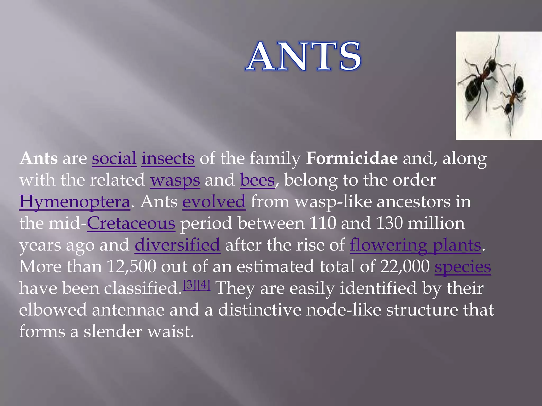 Ants...... | PPTX