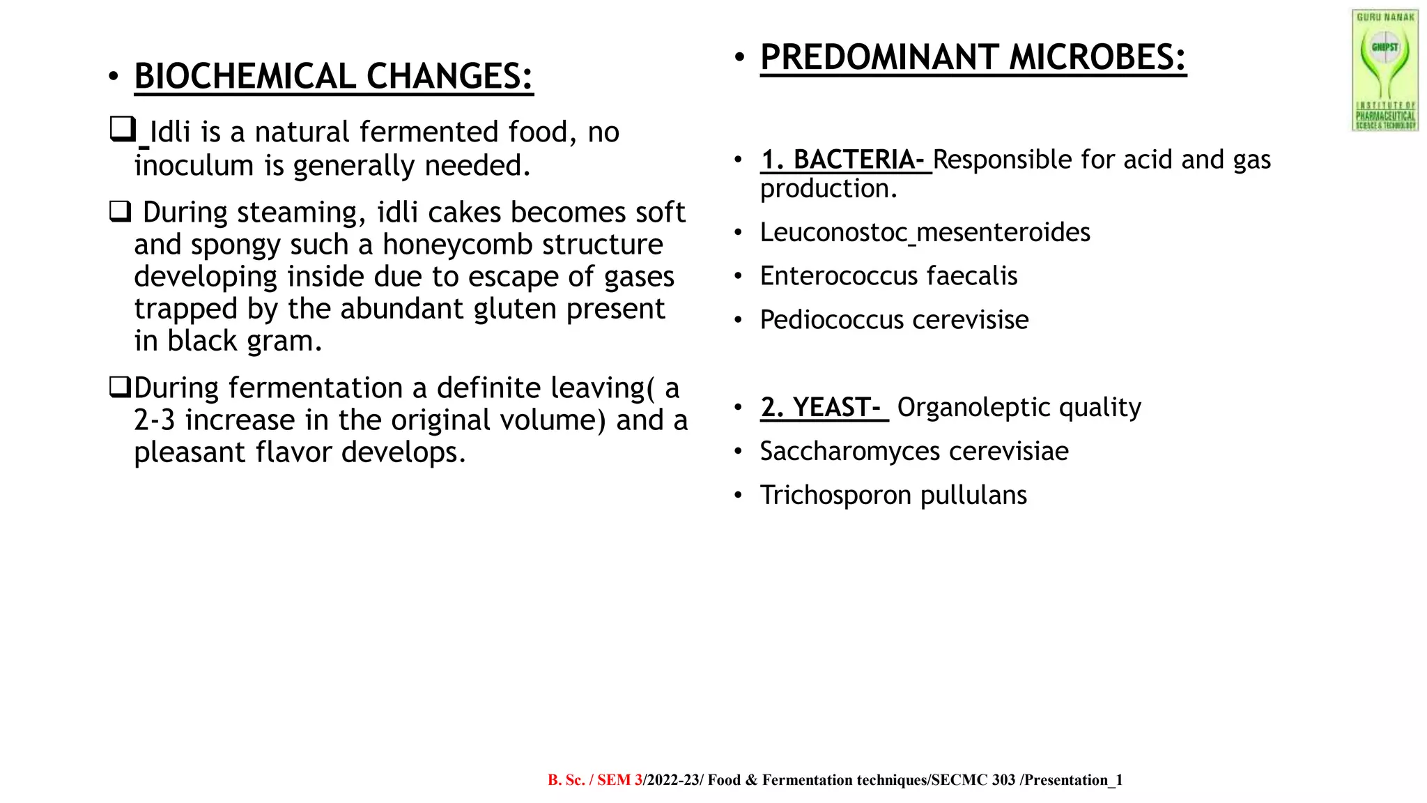 fermentation of idli | PDF