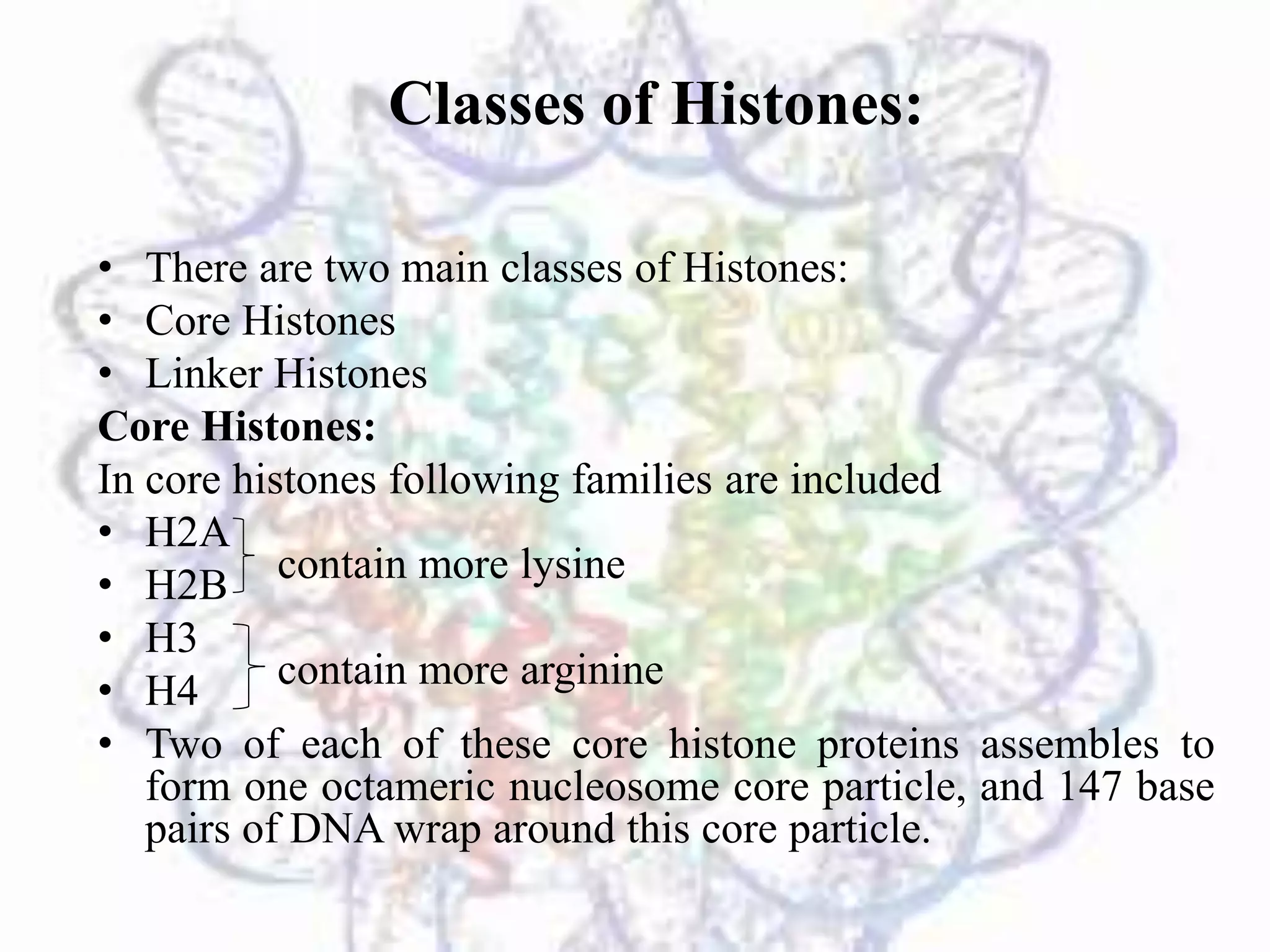 Histone Proteins and Genome Imprinting | PPTX | Genetics | Science