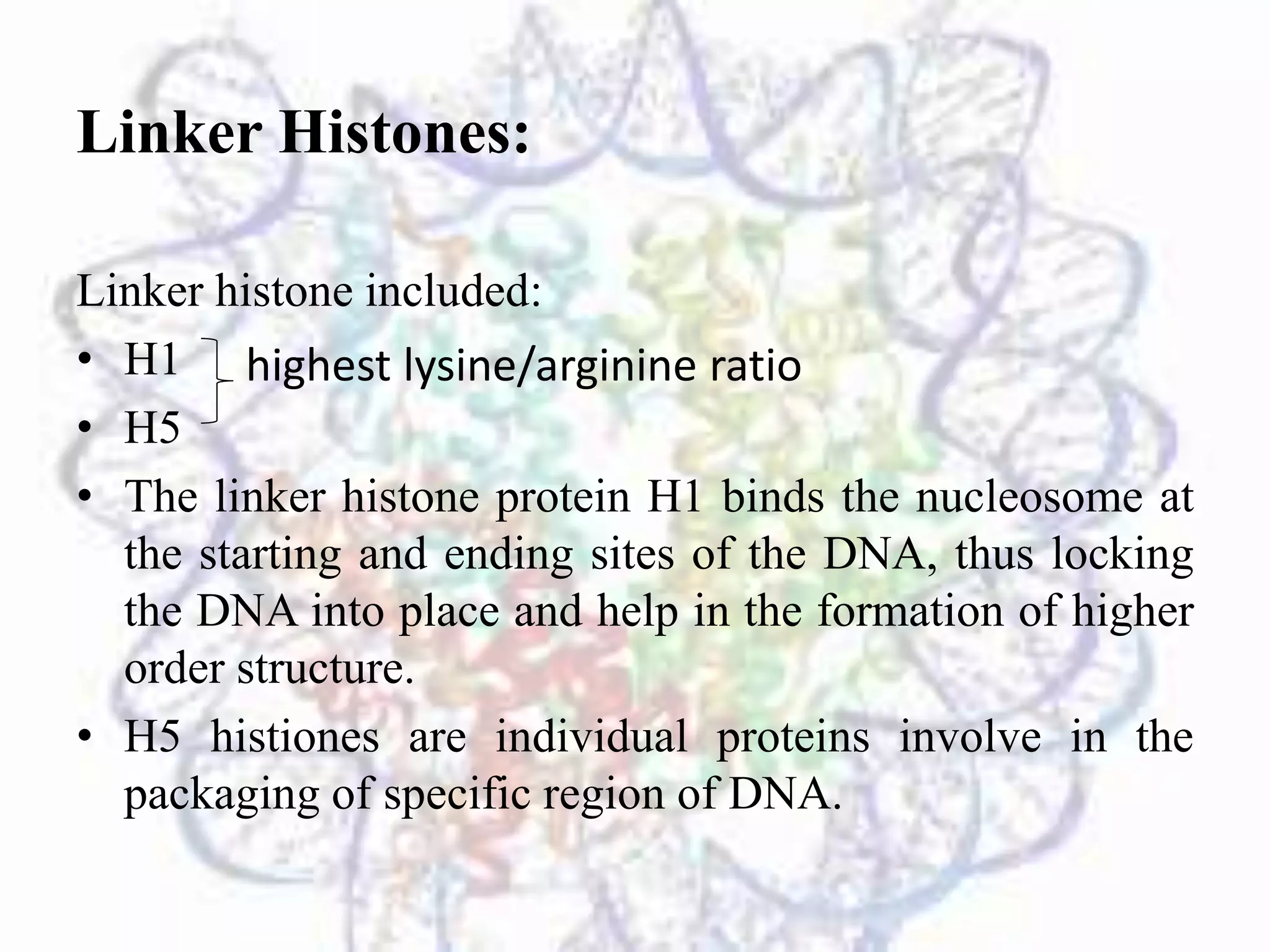 Histone Proteins and Genome Imprinting | PPTX | Genetics | Science