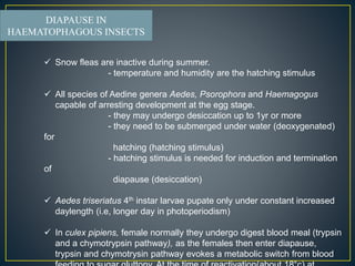 diapause and hibernation in haematophagous insects | PPTX