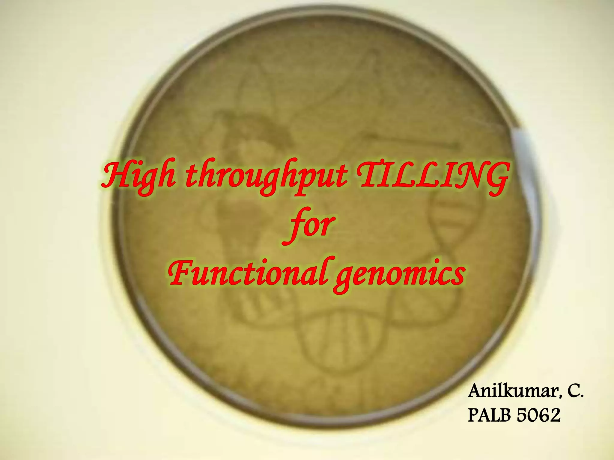 high throughput tilling for functional genomics | PPTX