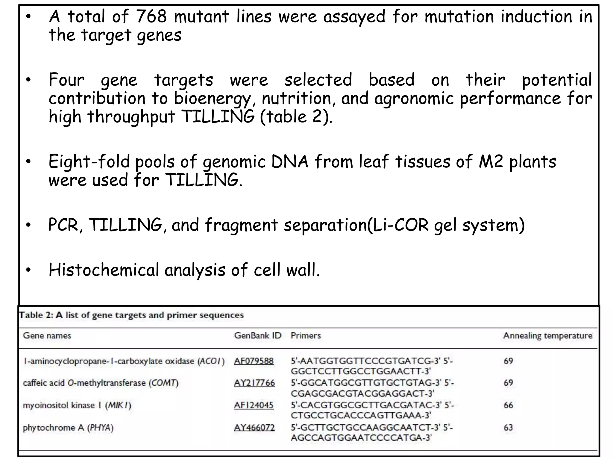 high throughput tilling for functional genomics | PPTX