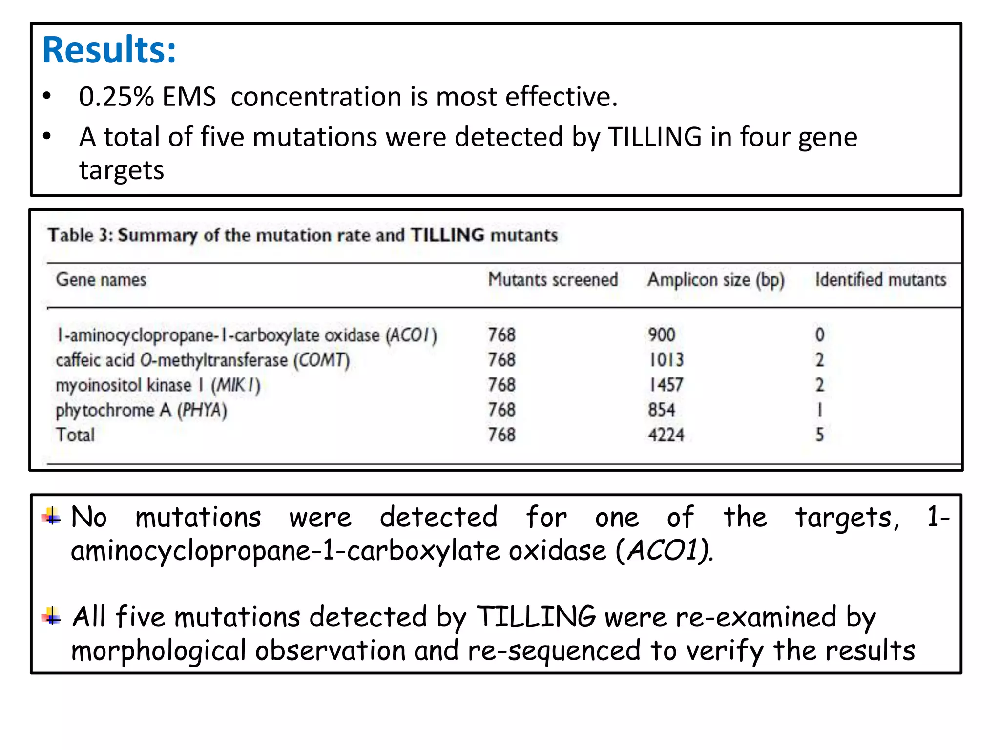 high throughput tilling for functional genomics | PPTX