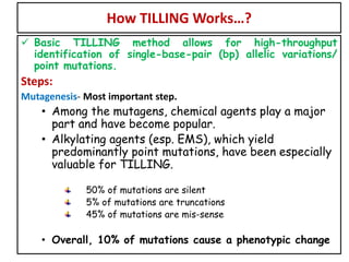 high throughput tilling for functional genomics | PPTX
