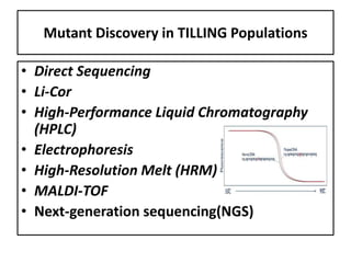 high throughput tilling for functional genomics | PPTX
