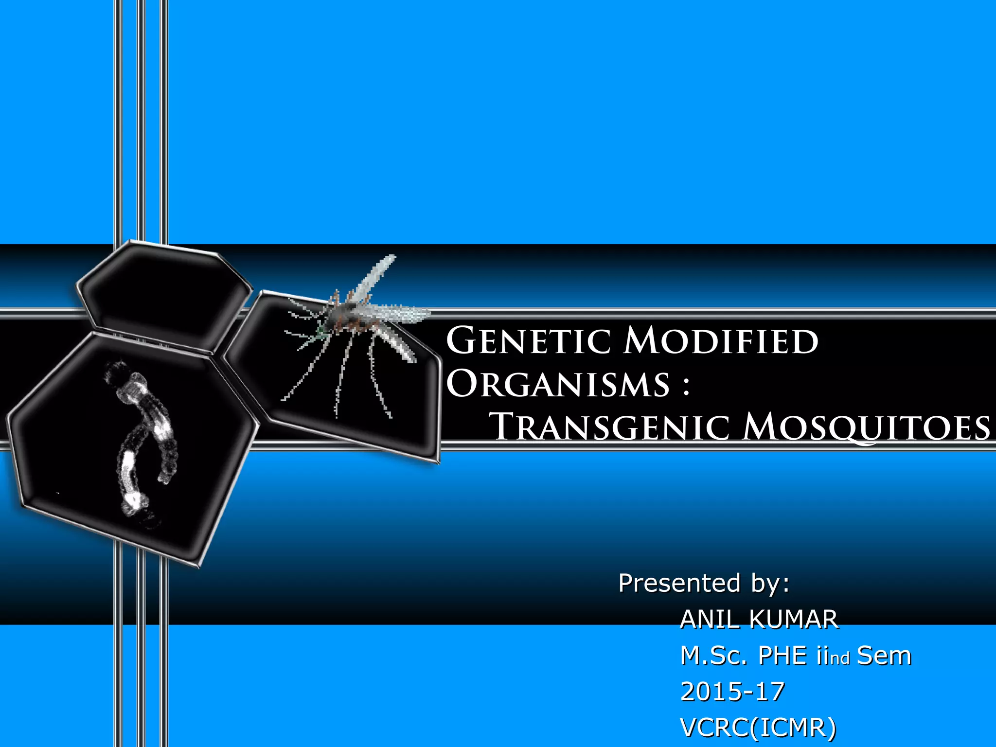 Transgenic mosquitoes | PPT