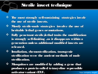 Transgenic mosquitoes | PPT