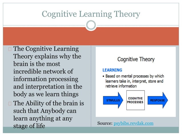 Learning theories, styles and learning curve | PPTX