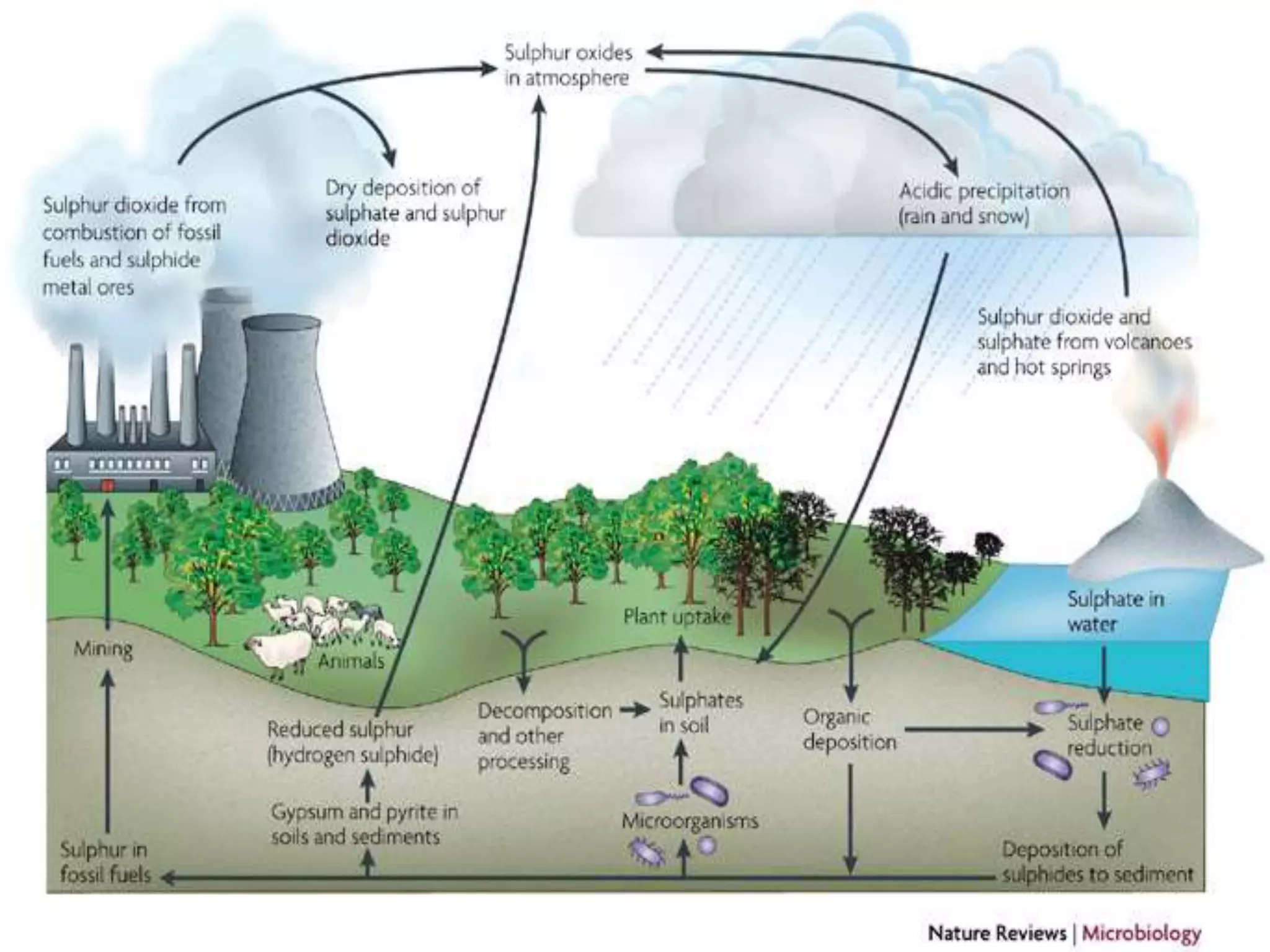 Biogeochemical Cycle | PPT