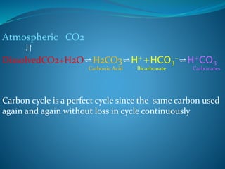 Biogeochemical Cycle | PPT