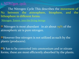 Biogeochemical Cycle | PPT