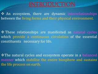 Biogeochemical Cycle | PPT